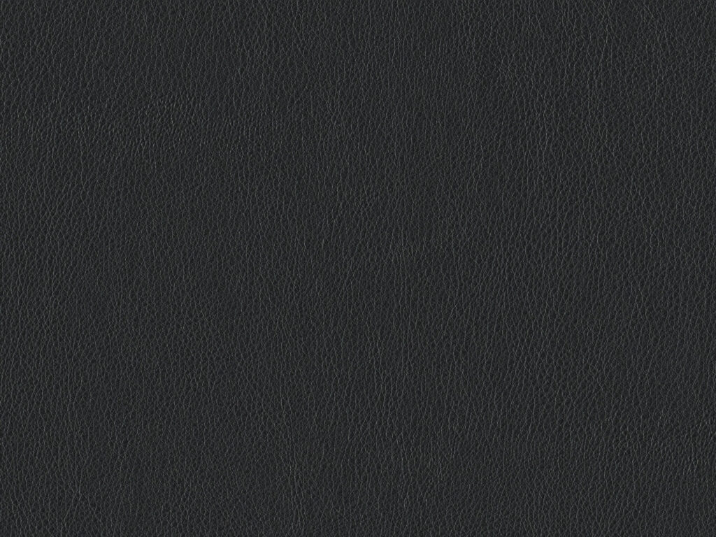 Quinel® Kidra - Paperworld